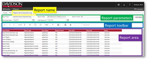 how to run paginated reports davidson college