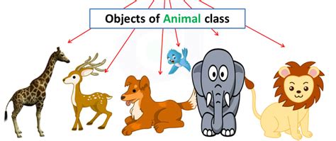 Class And Object In Oop Dev Community