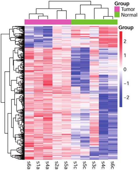 Heatmaps Of Differentially Expressed Genes Between Tumor And Control