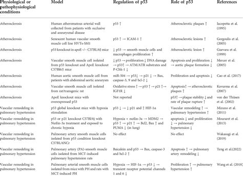 Frontiers The Role Of P53 In The Alternation Of Vascular Functions