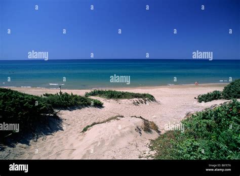 Spiaggia Di Sabaudia Immagini E Fotografie Stock Ad Alta Risoluzione