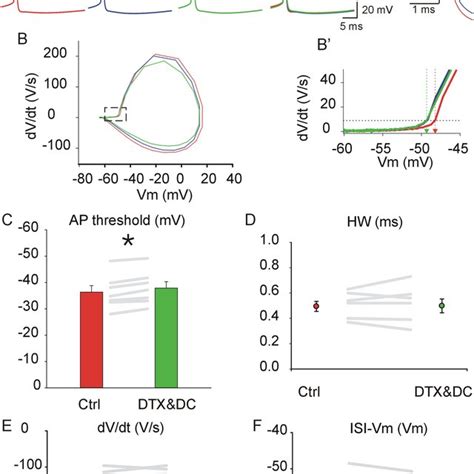 The Action Potential Waveform Of Non Gad Dcns Putative Glutamatergic