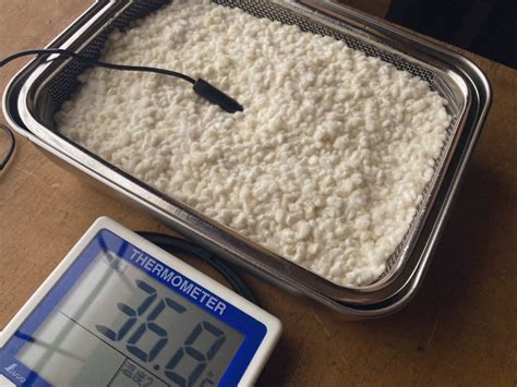 【特典アリ】米麹の作り方をどこより詳しく徹底解説！【海外でも麹が作れる！】｜コジログ