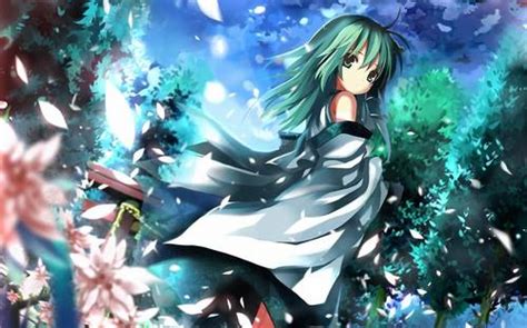 Soul Flower 魂音泉 Soul Flower在线试听 纯音乐 Mp3下载 听蛙纯音乐网