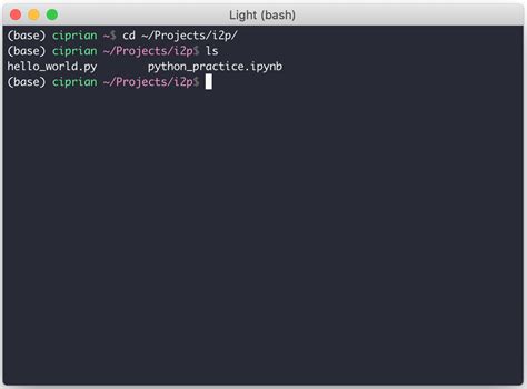 how to write and run code in jupyter notebook edlitera