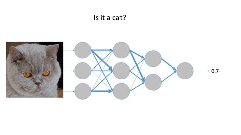 artificial neural networks what they are and how they re trained