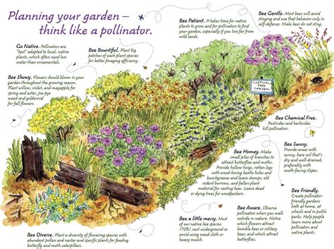 Pin By Parks And People Foundation On Secret Gardens Pollinator Garden