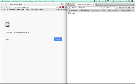 ssl calls to local server with a self signed certificate are