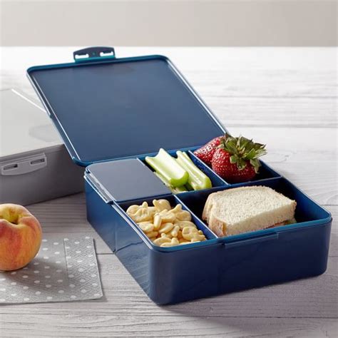 bento box lunch container pbteen