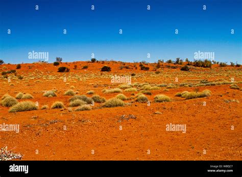 Australian Outback Landscape With Low Red Sand Dunes Daubed With Tufts