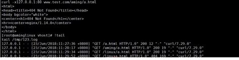 demystifying proxy pass in nginx lemp
