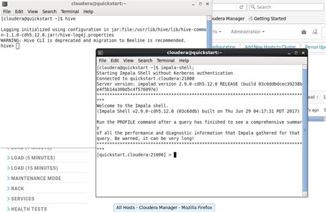 starting hosts and roles in cloudera vm big data and sql