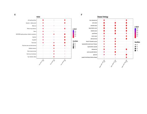Mirna–target Interaction Network For Mirnas Derived From List Of Genes