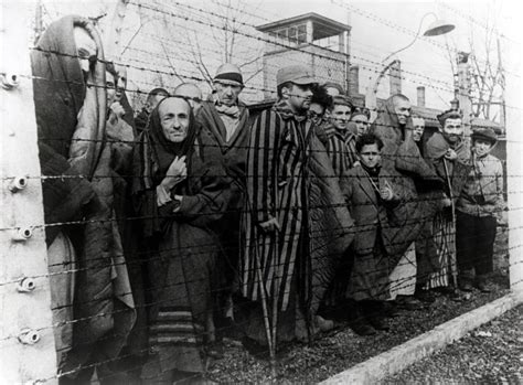 Liberation Of Auschwitz Cnn