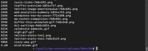 7 easy ways to check disk usage in wordpress find large files and data