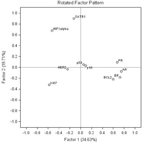 Rotated Factor Pattern Loadings Of The Factors 1 And 2 Plotted
