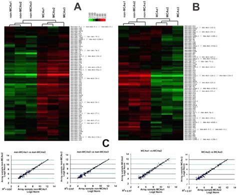 Hierarchical Clustering Of Differentially Expressed Mirnas A B The
