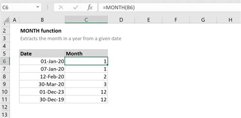 how to use the excel month function excelfind