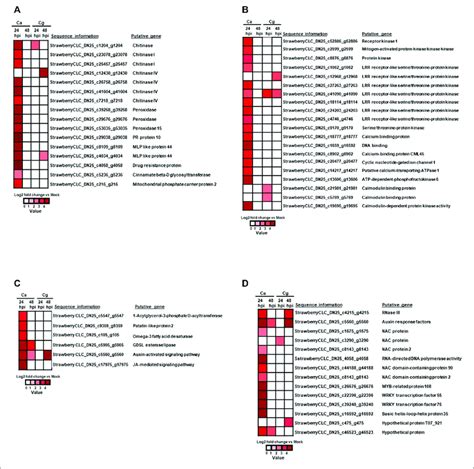 Heatmap Of Differentially Expressed Genes Degs During Resistant