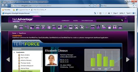 netadvantage adds office 2010 style