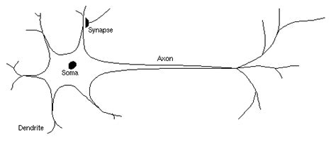 Introduction To Neural Networks