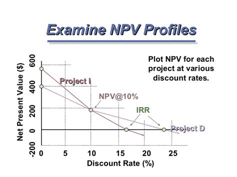 Net Present Value Graph