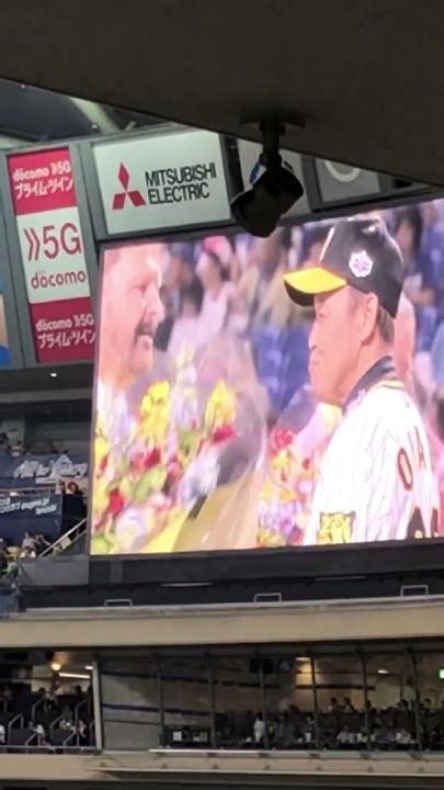 ラミレスさんと高津さん 岡田さんとバースさん 昔からの野球ファンにはなんかジーンとくるシーン Youtube