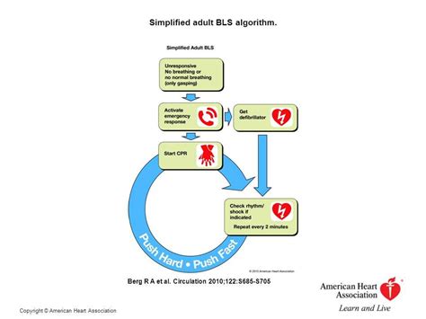 Master The American Heart Association Bls Test With These 2023 Answers