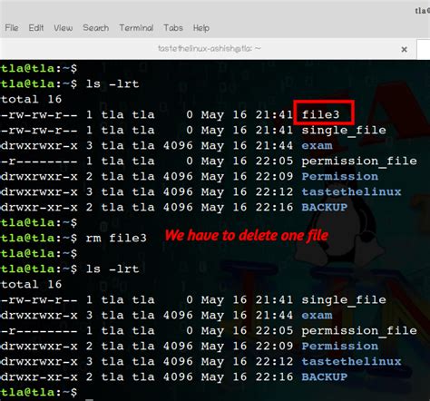 rm command in linux with examples taste the linux