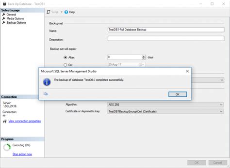 encrypting a sql server database backup sqlnethub