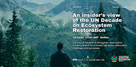 An Insiders View Of The Un Decade On Ecosystem Restoration