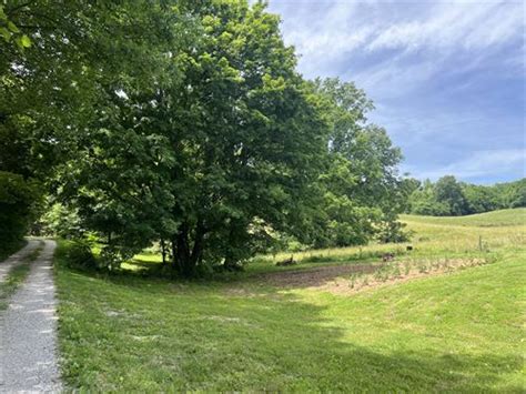 Find Land Auctions And Property Near Me Auctionflip