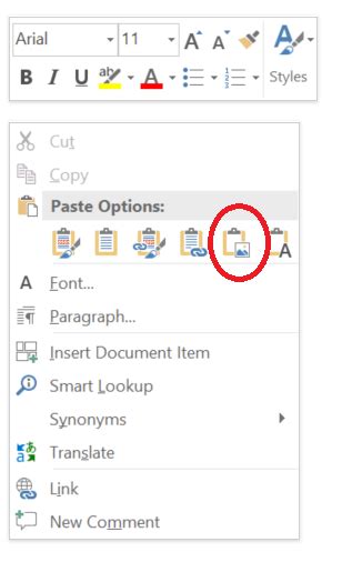 copying cells from excel into word cuts off my image microsoft