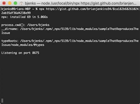 `npx` invoked application that utilizes `ts node` fails with