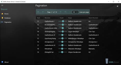 pagination with entity framework core and microsoft mvvm in winui 3