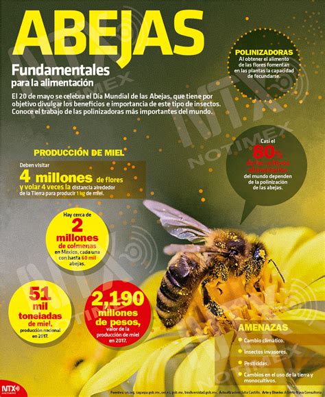 Hoy Tamaulipas Infografía Abejas Fundamentales Para La Alimentación