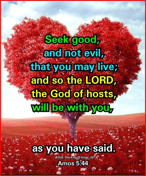 Pin By Dunkel Leben On 1 2azx Our Favorite Scriptures Scripture