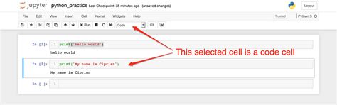 how to write and run code in jupyter notebook edlitera
