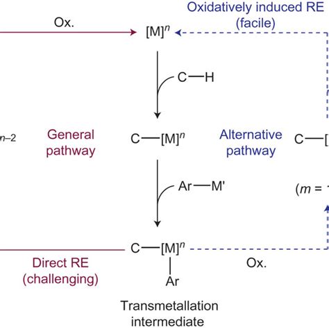 Schematic Representation Of C H Arylation Reactions With Aryl