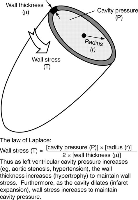 postinfarction left ventricular remodelling where are the theories and