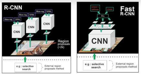 mask r cnn