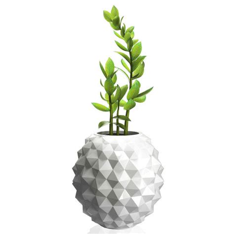 Flower Pot With Plant 3d Model Cgtrader