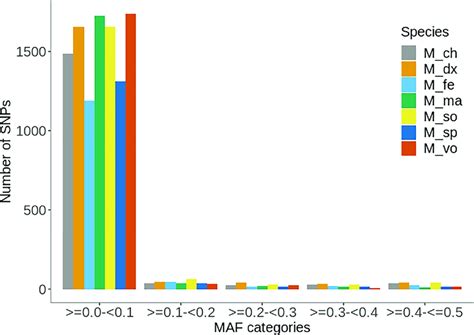 Distribution Of Minor Allele Frequency Maf For Different