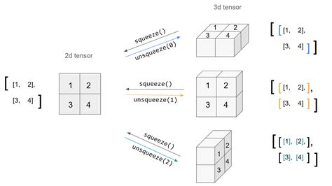 how to add an unsqueezed dimension to a tensor in pytorch surfactants