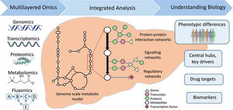 Integration Of Genome Scale Metabolic Models With Other Biological