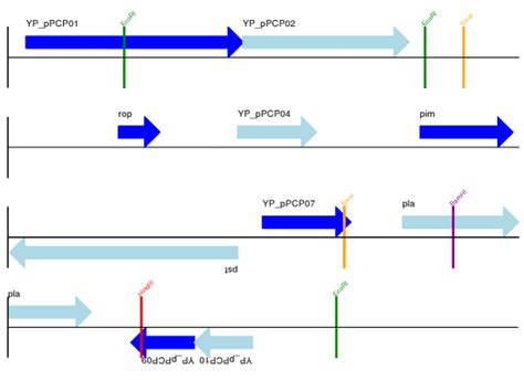 biopython tutorial and cookbook