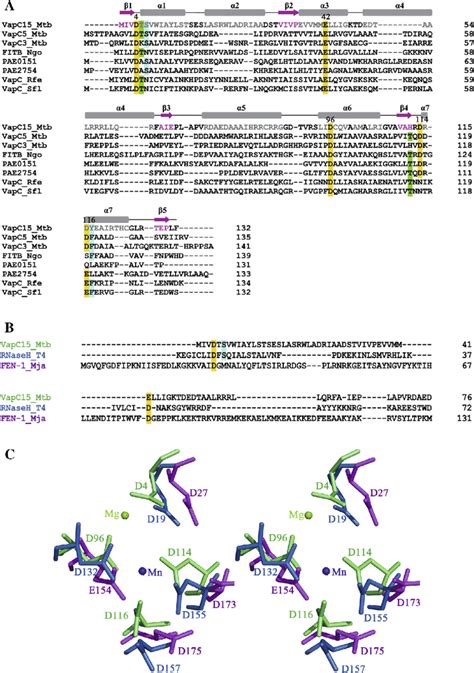 structural superimposition and secondary structure alignment of vapc 15