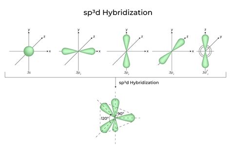 Hybridization Definition Types Rules Examples Geeksforgeeks