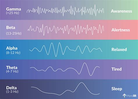 Brainwave Frequencies Explained