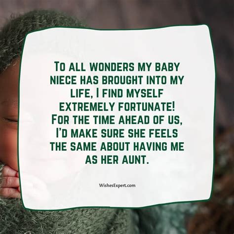 35 Beautiful I Am Blessed With A Niece Quotes